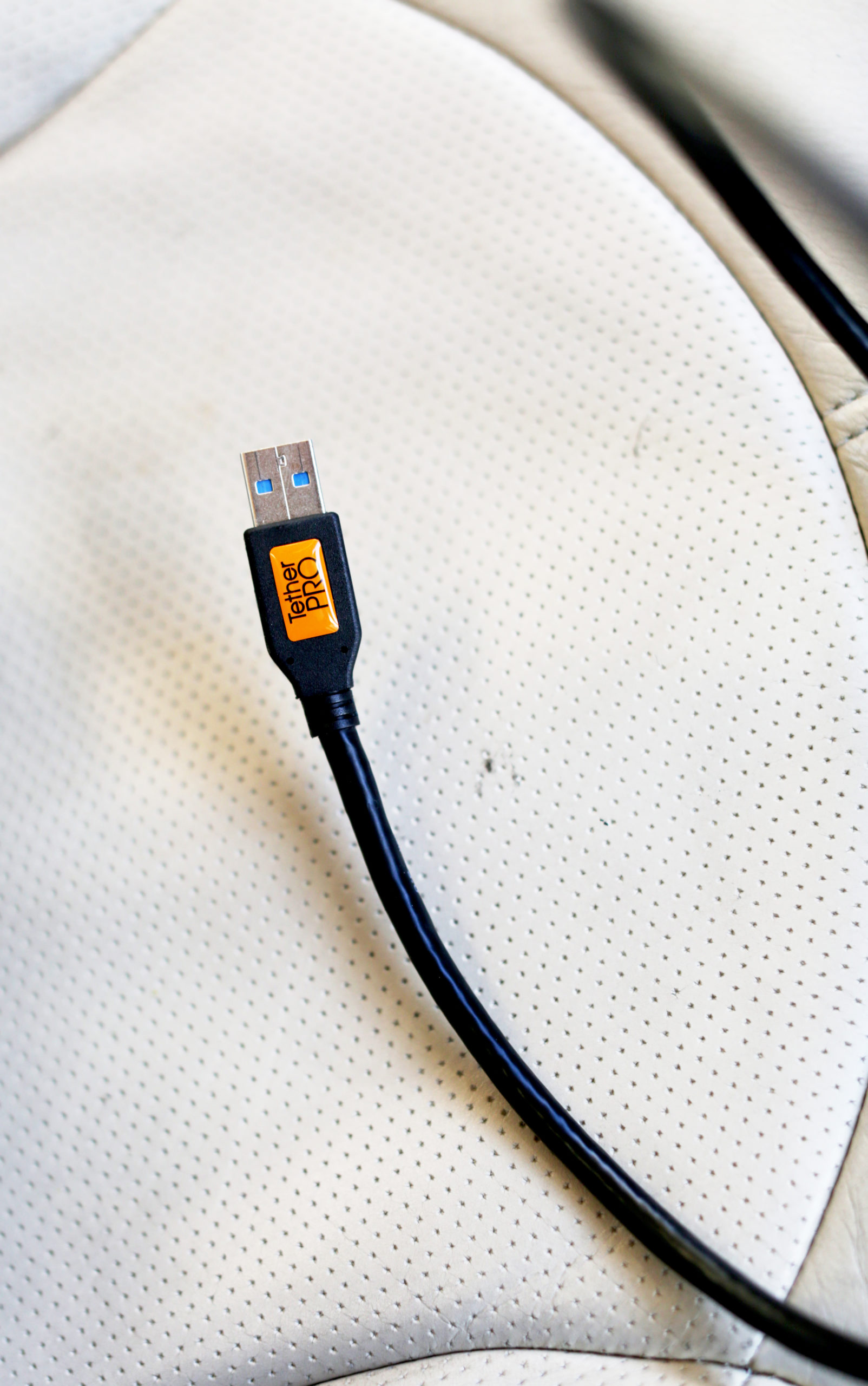 Photo Credit: Ashley Barsamian