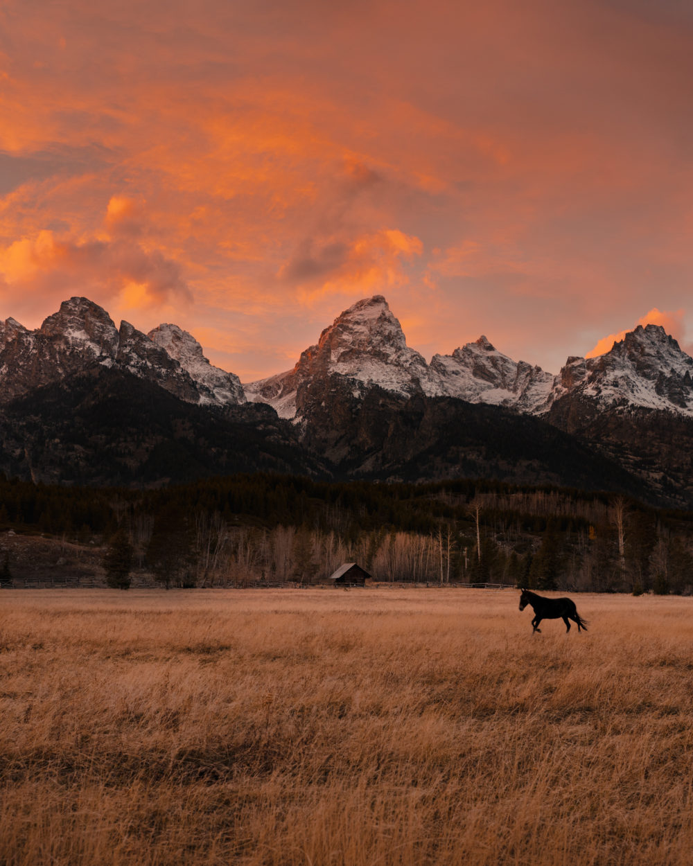 Photo Credit: Leah Judson